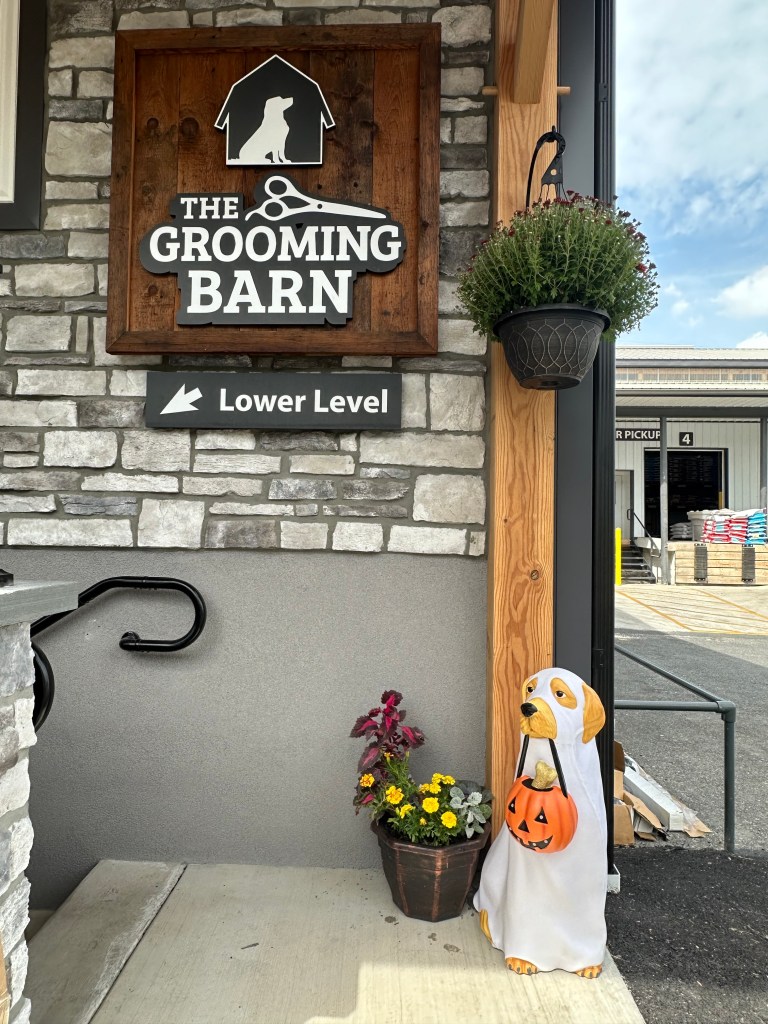 The Grooming Barn