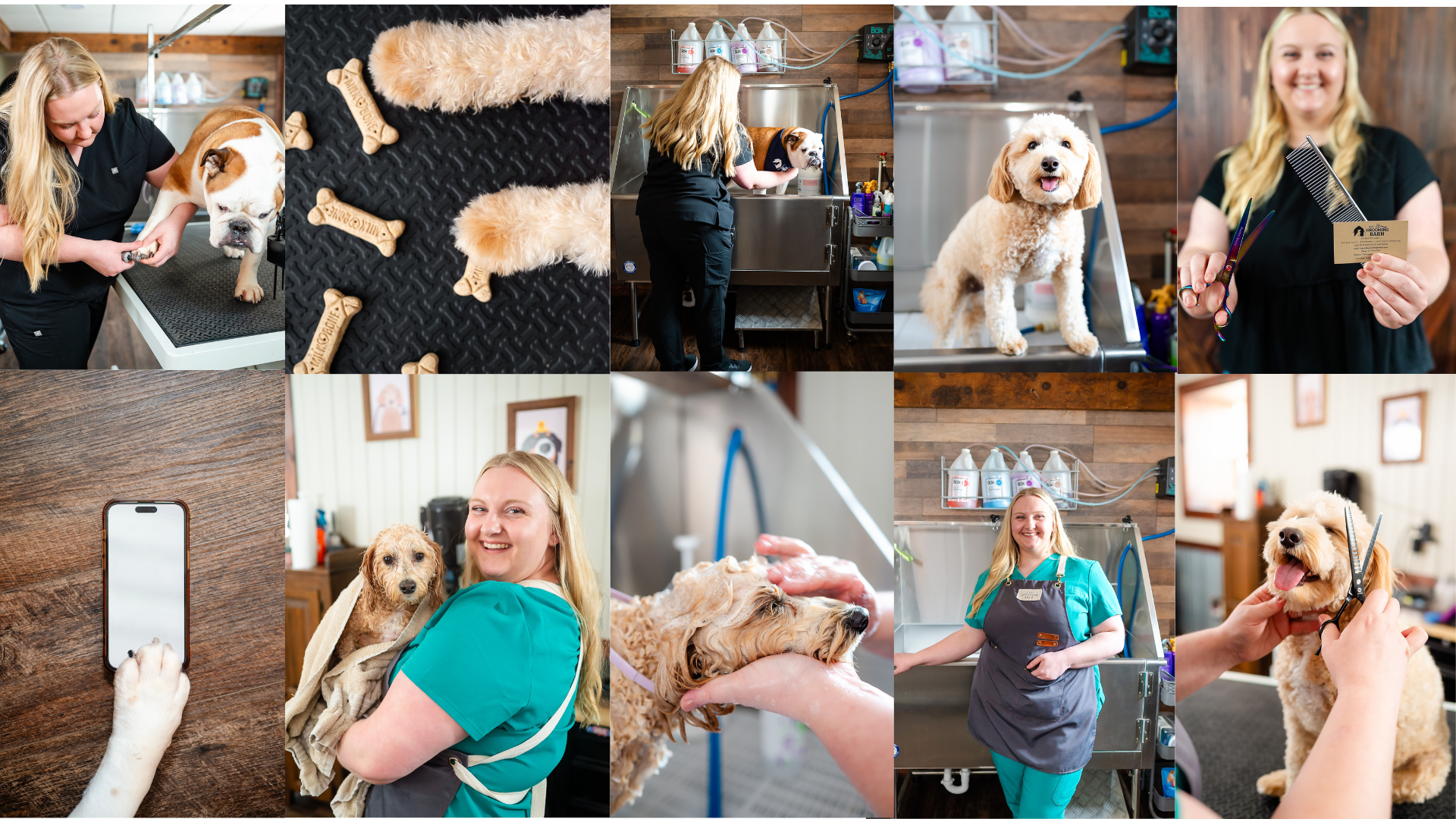 Meet Us – The Grooming Barn